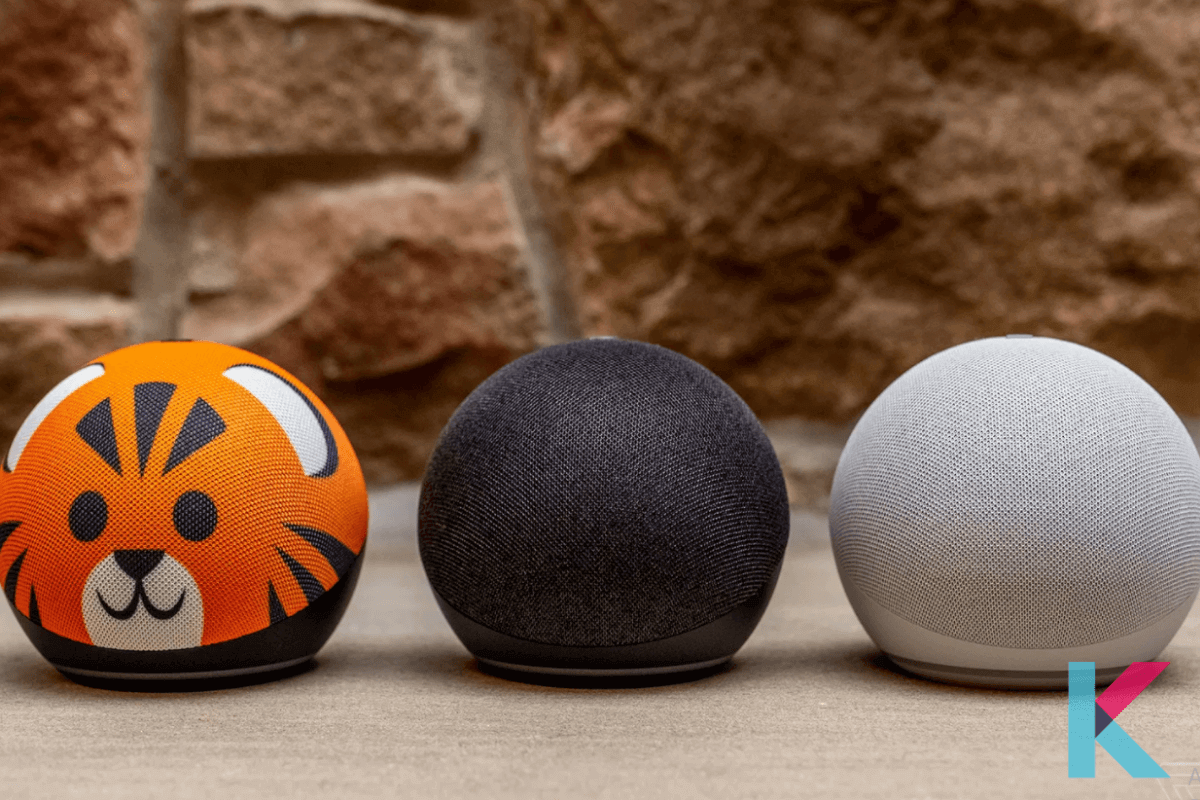 Alexa Echo Dot - How to use it why do you need it?