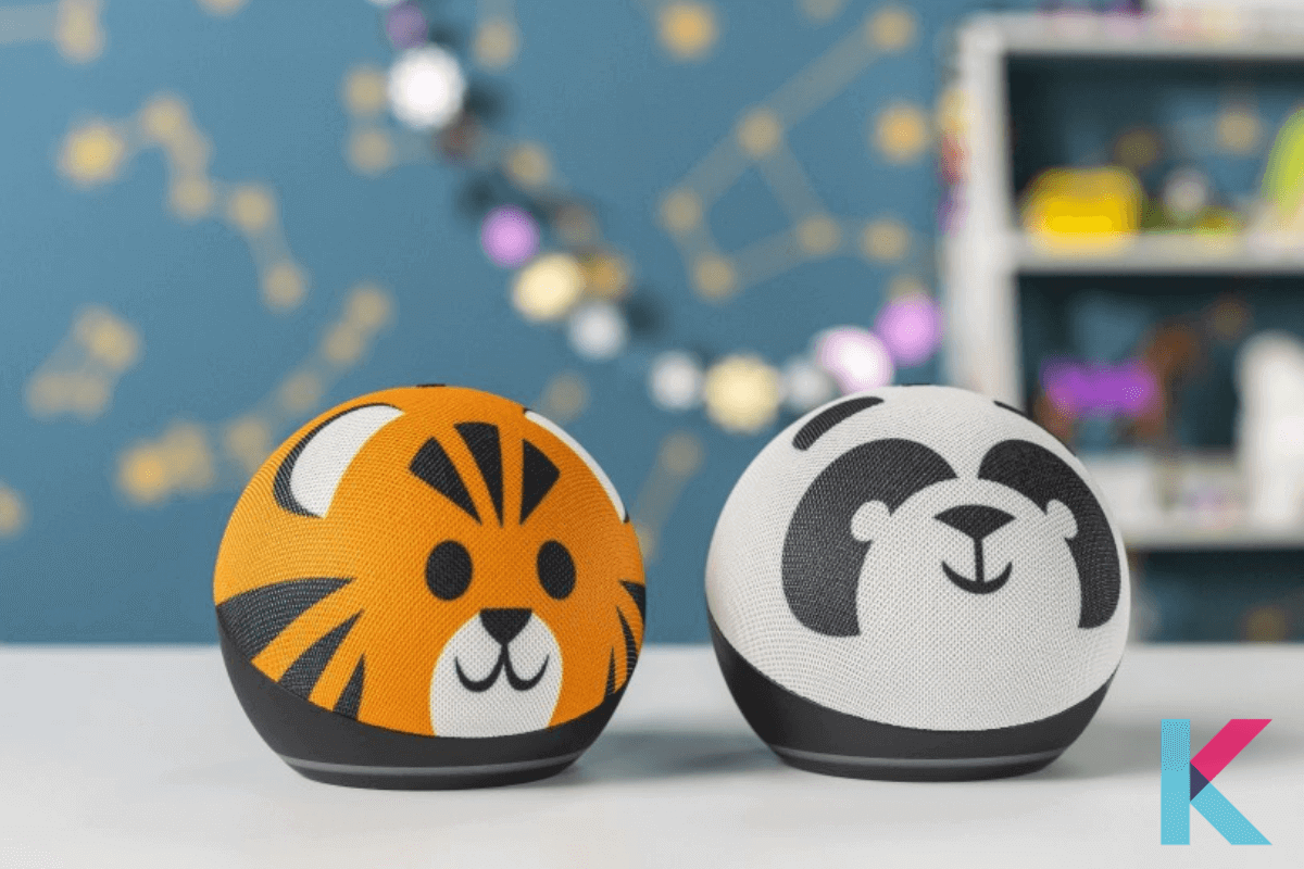 Alexa Echo Dot - How to use it why do you need it?